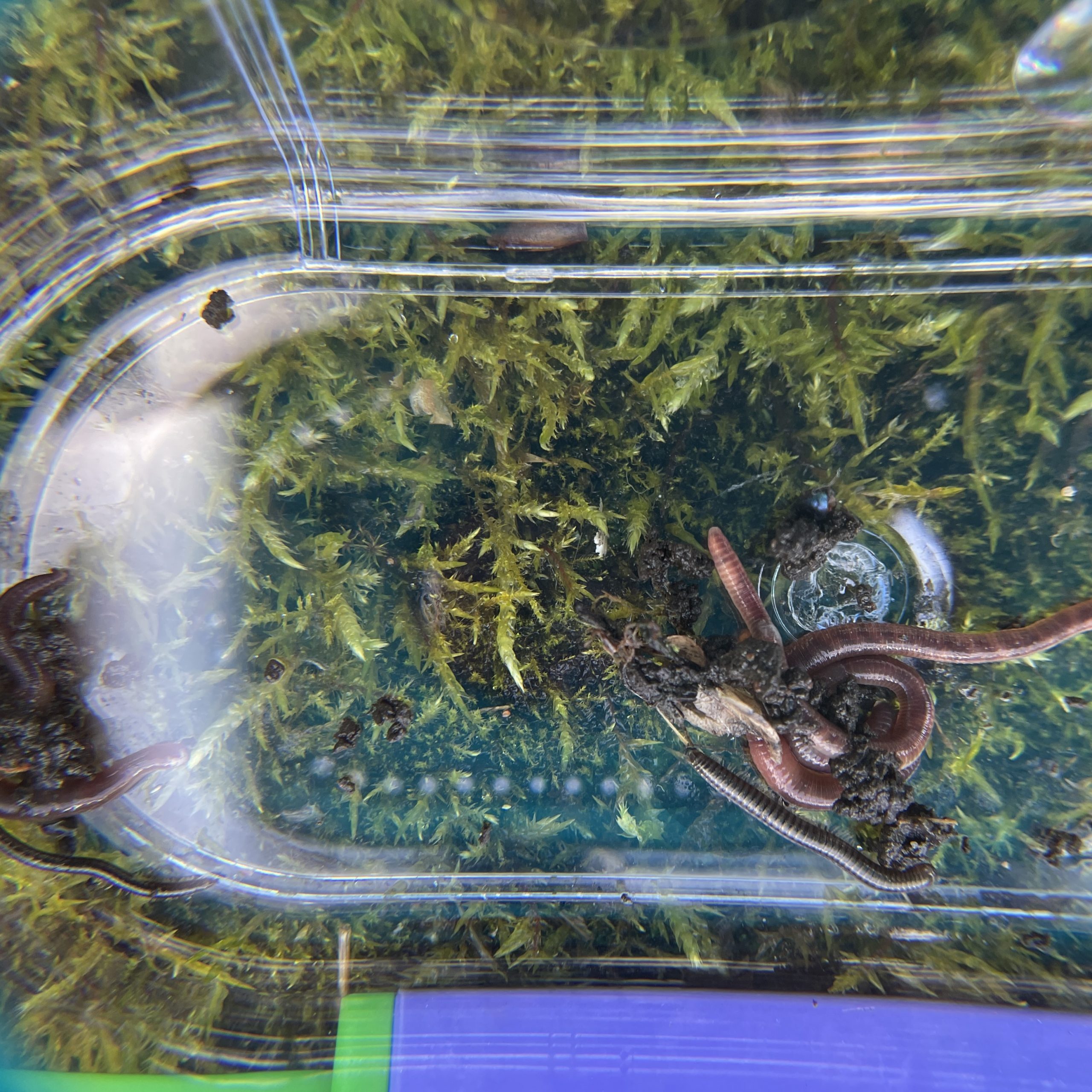 20 Icebreaker Physical Education Games For Children - Early Years Resources